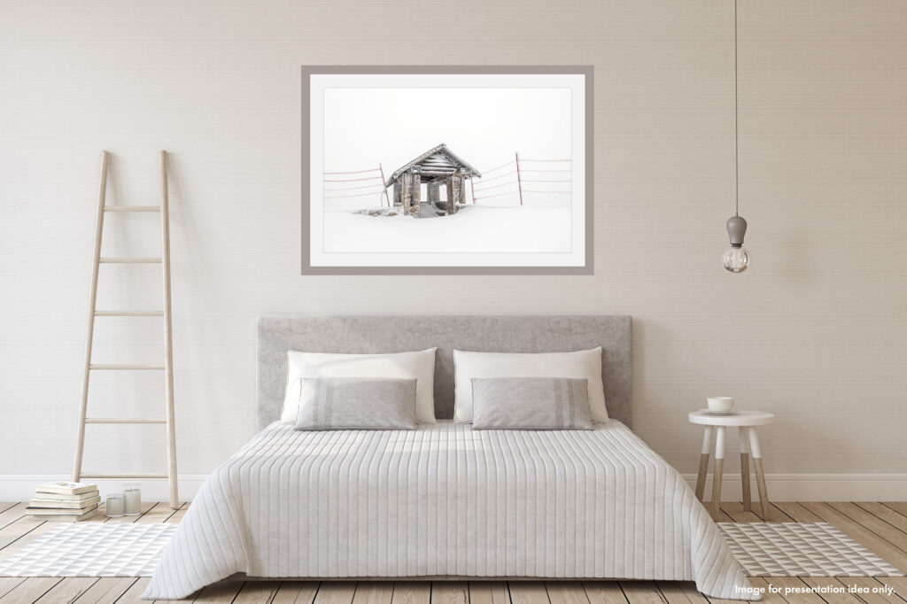 Frosted and Frozen – Alpine Light